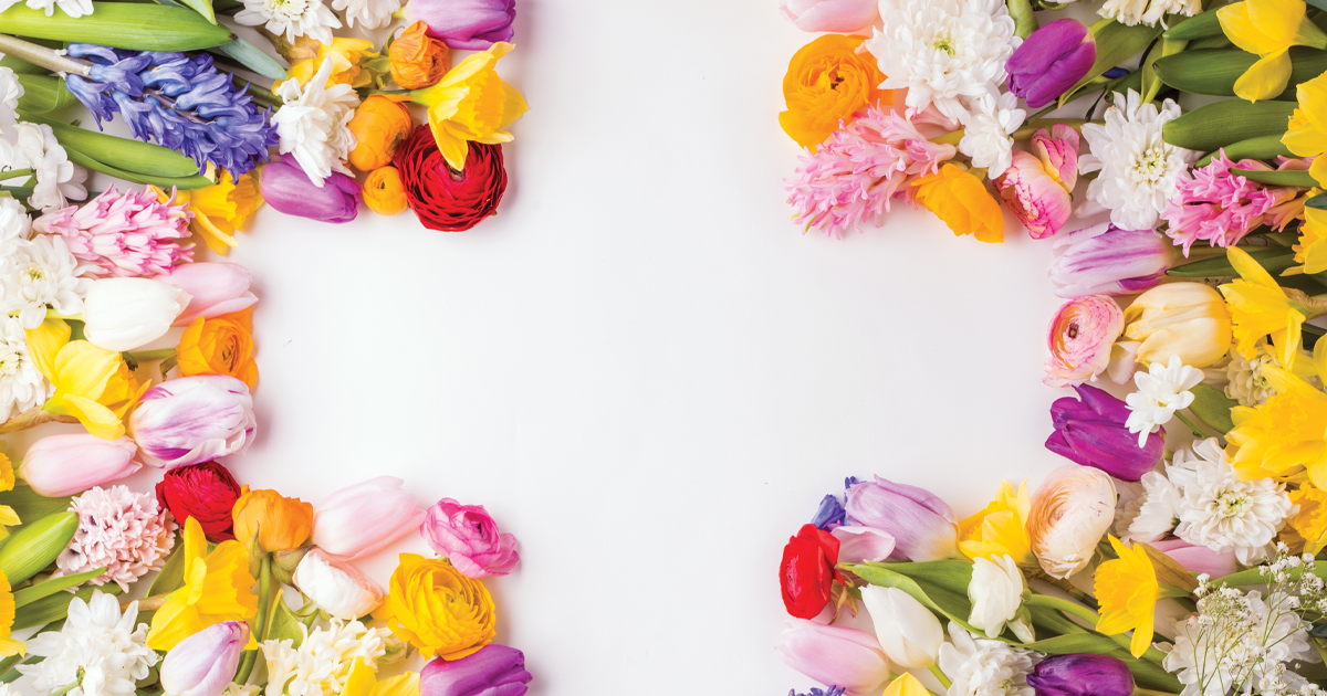 Paradox of the Cross - The War Cry | The Salvation Army USA