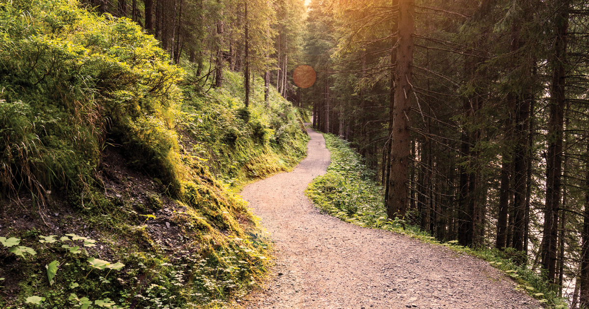 Pathway of Hope - The War Cry | The Salvation Army USA