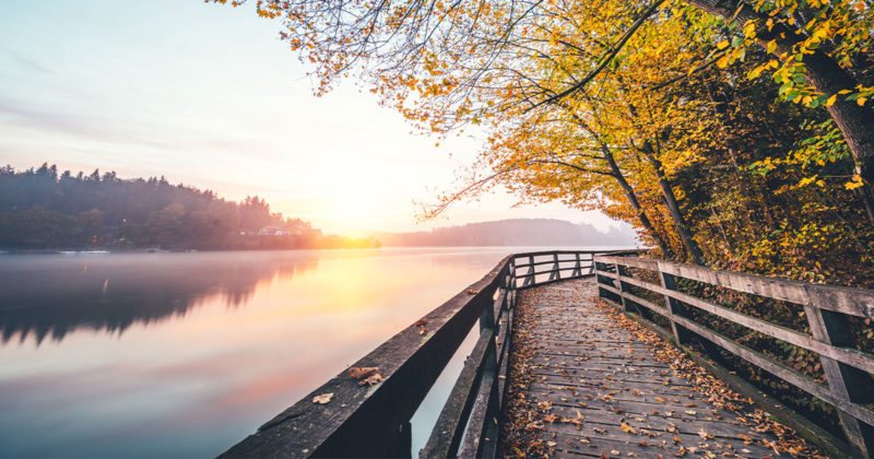 A Delightful Inheritance: Lessons from Psalm 16 - War Cry